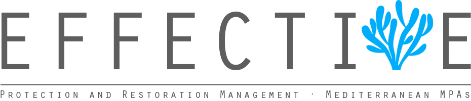 EFFECTIVE - Eurecat